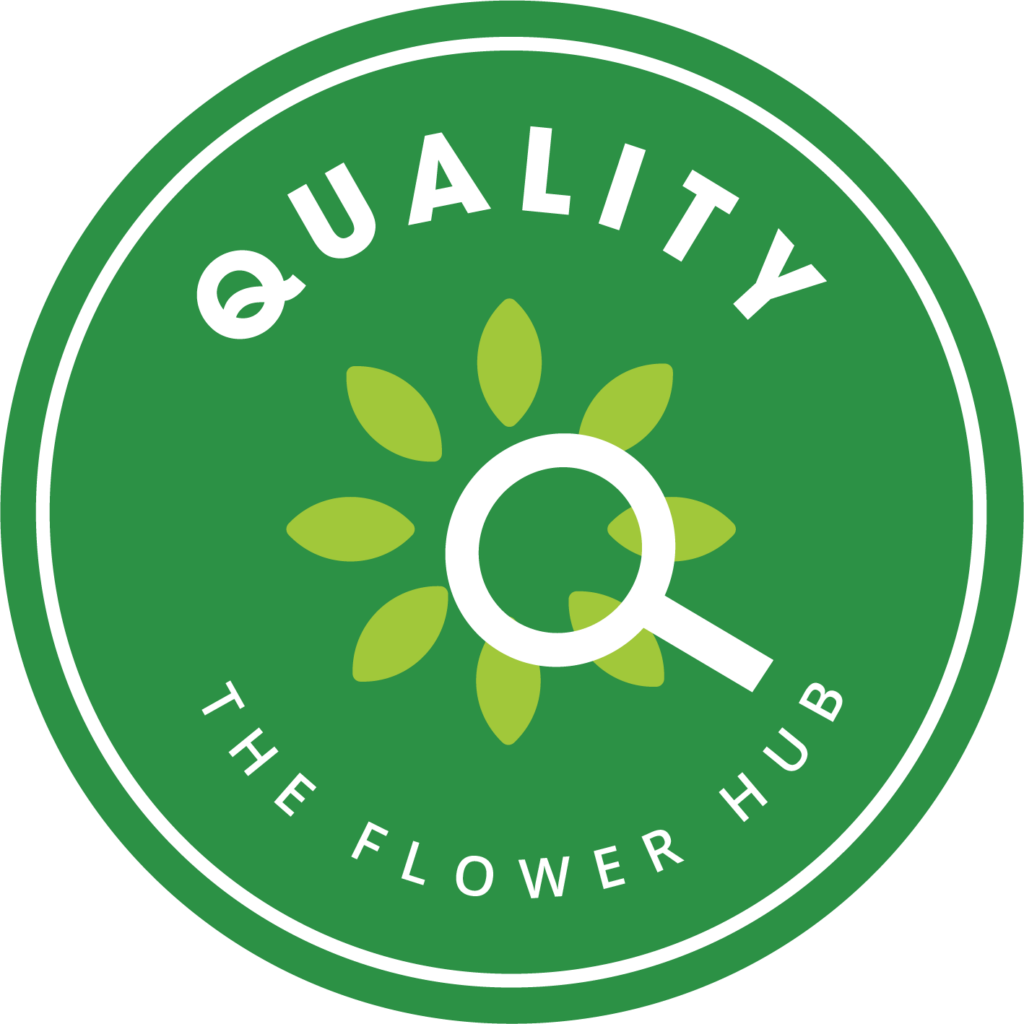 The Flower Hub | Premium Global Flower Supply from Kenya